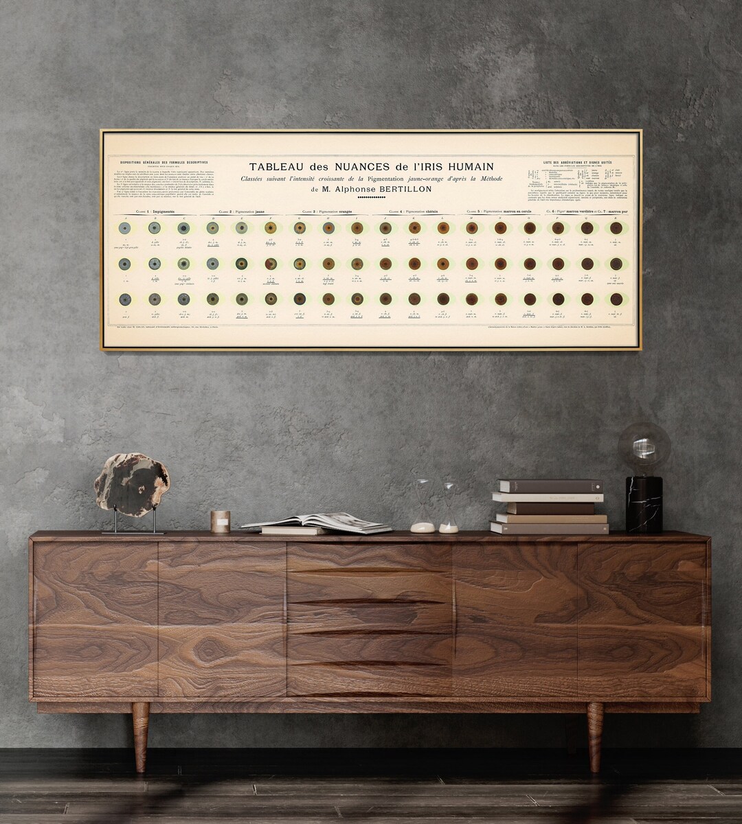 Eye Colour Vintage Chart Print, Vision & Optometry Poster ...