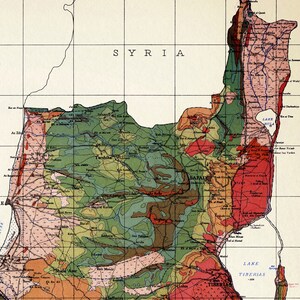 Geological Map of Palestine| Geologic Israel Map| Geology Map| Science ...