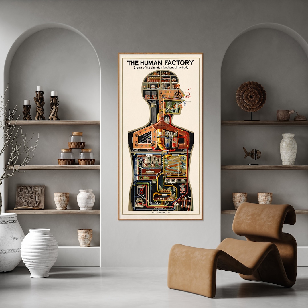 Human Body Vintage Industrial Poster| Human Factory Print| Mid Century ...