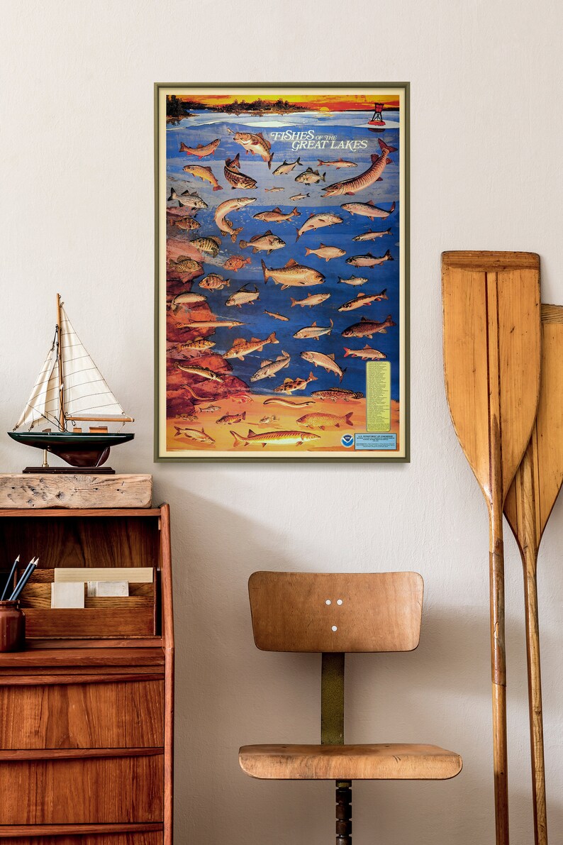 Great Lakes Fishes Vintage Poster – Native Species Wall Art - Etsy UK