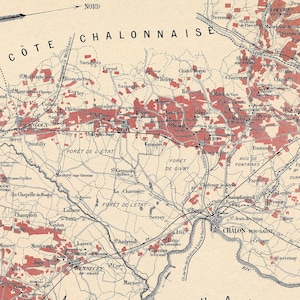 Wine Map of Beaujolais, Maconnais Et Chalonnais, Bourgogne Wine Map ...