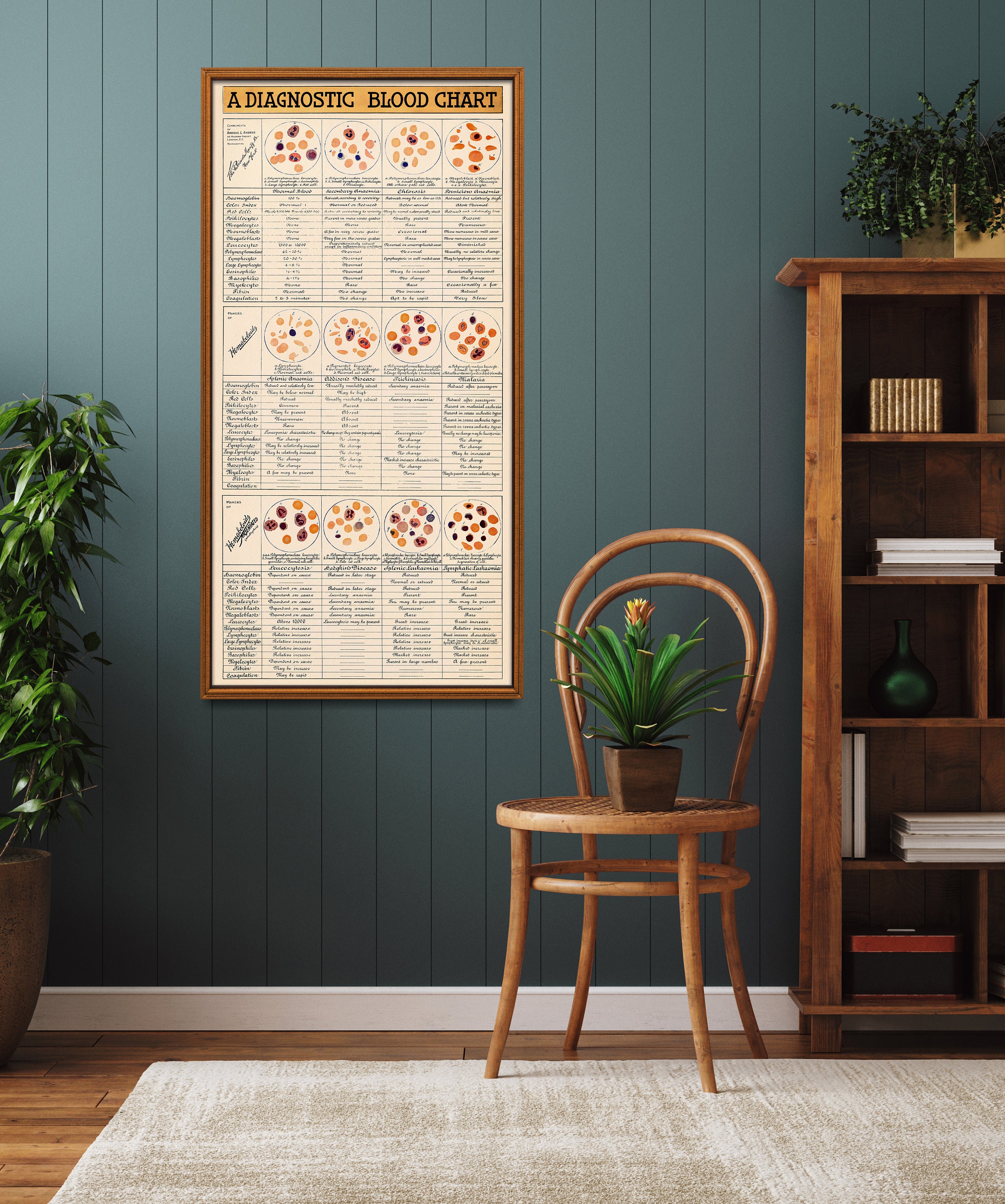 Vintage Diagnostic Blood Chart Doctor's Office Wall Art - Etsy