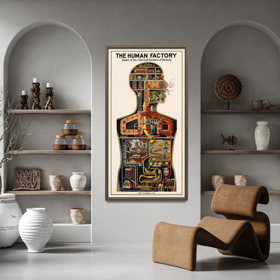 Human Body Vintage Industrial Poster Human Factory Print Mid - Etsy