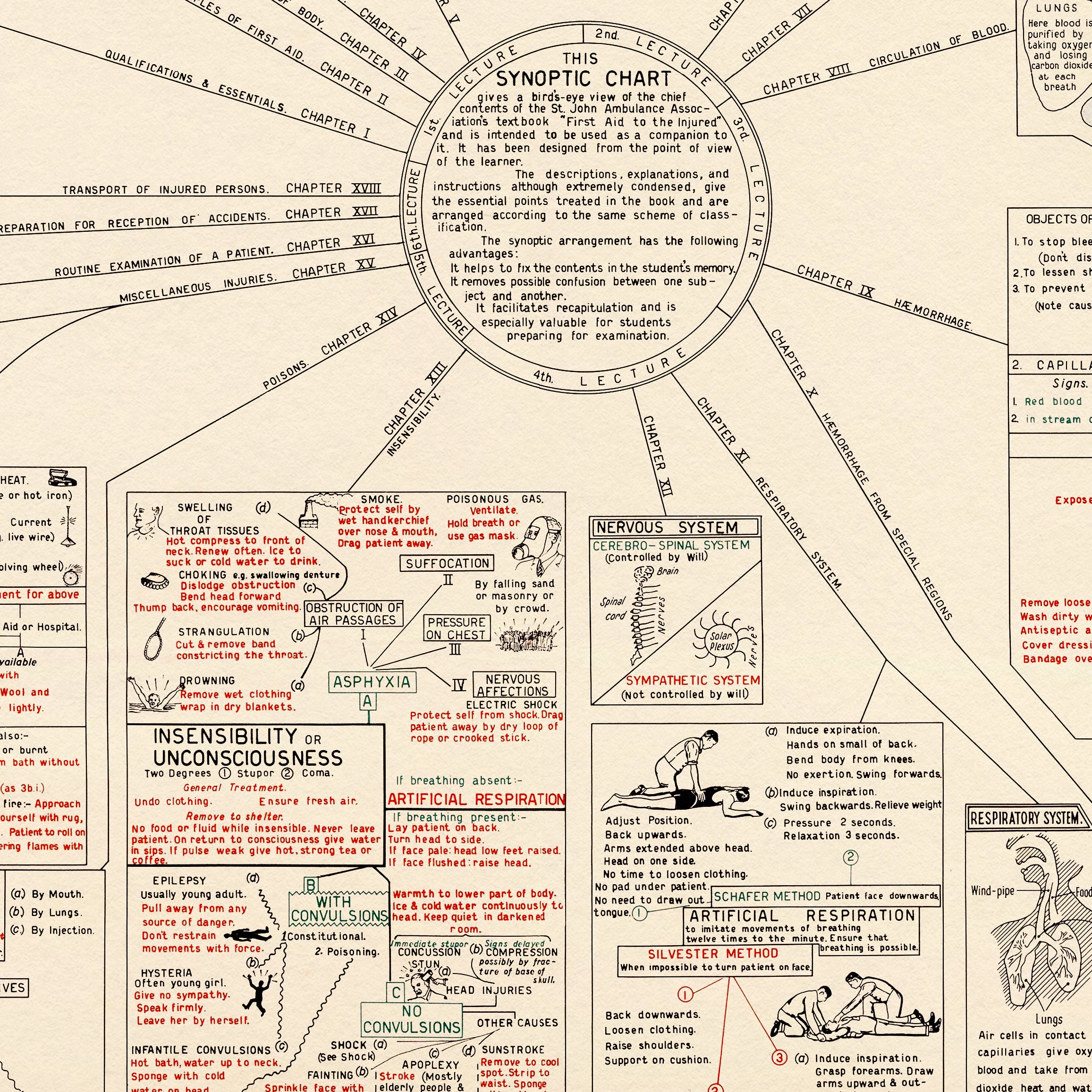 Vintage First Aid Memory Chart Doctor's Office Wall Art | Etsy