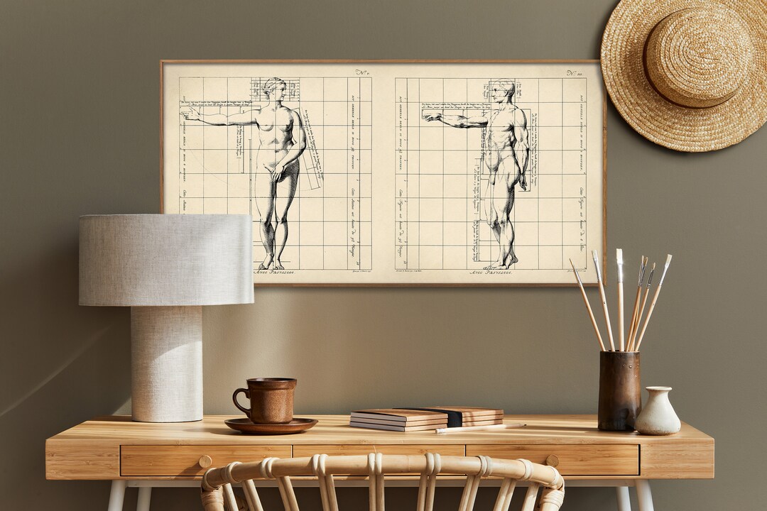 Proportions Study of the Human Body| Vintage Illustration Print| Wall ...