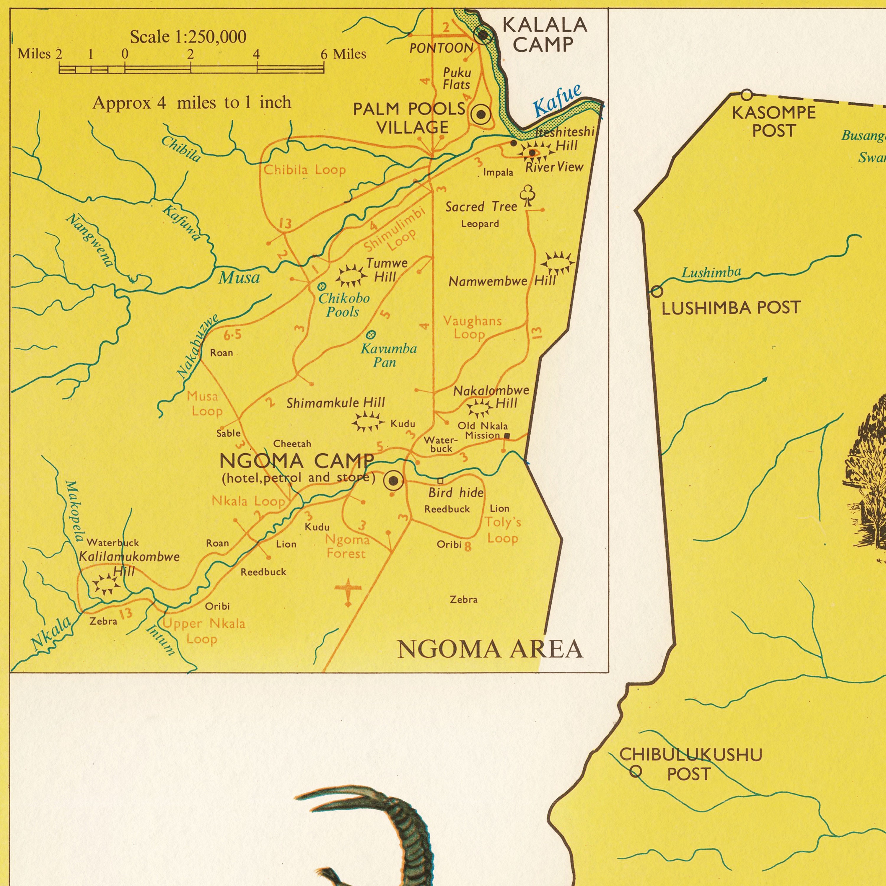 Kafue National Park Vintage Map Print Zambia Poster Map - Etsy