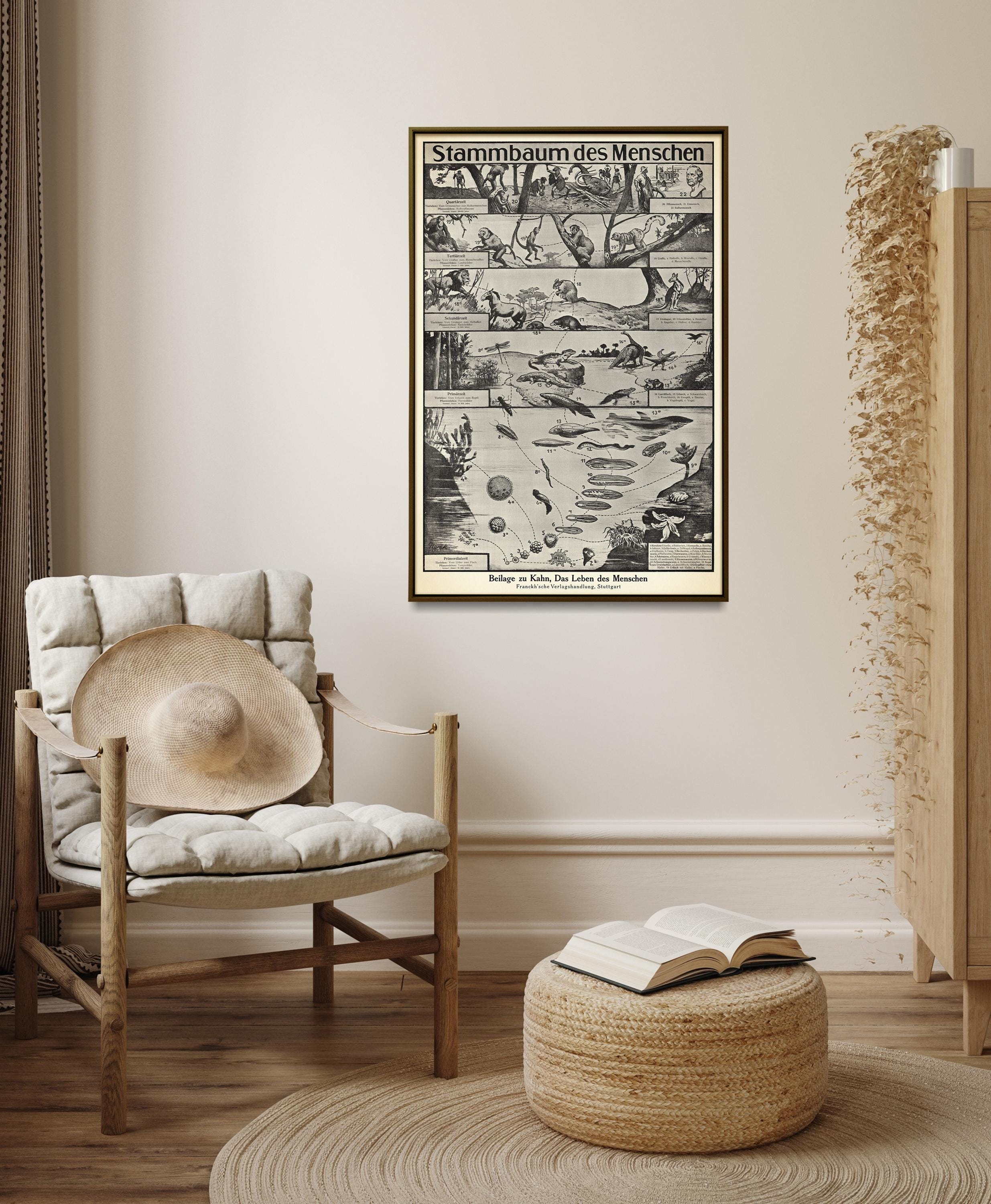Mankind Evolution: Human Family Tree - Vintage Chart Print, Science ...