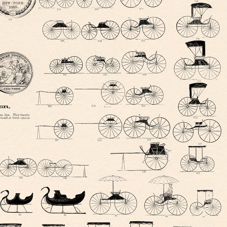 Horse Coach & Chariot Vintage Chart Print| Carriage Guide Poster| Wall ...