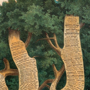 Tree of American History, US History Timeline, History Classroom Decor ...