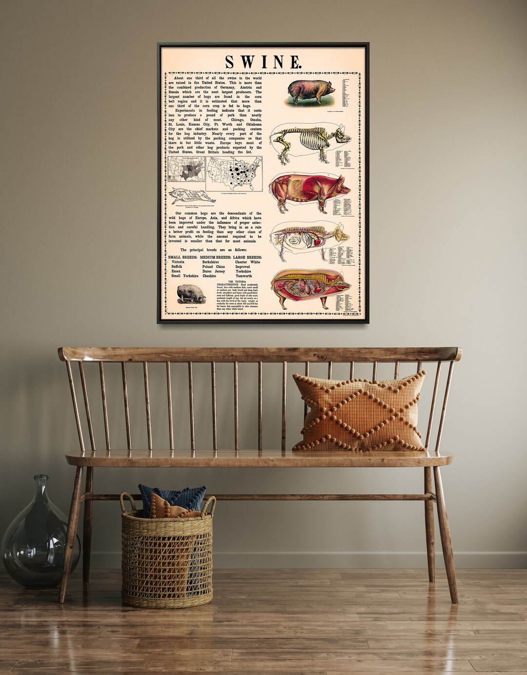 Pigs Vintage Chart Print| Swine Diagram Poster| Wall Art Home Gift - Etsy