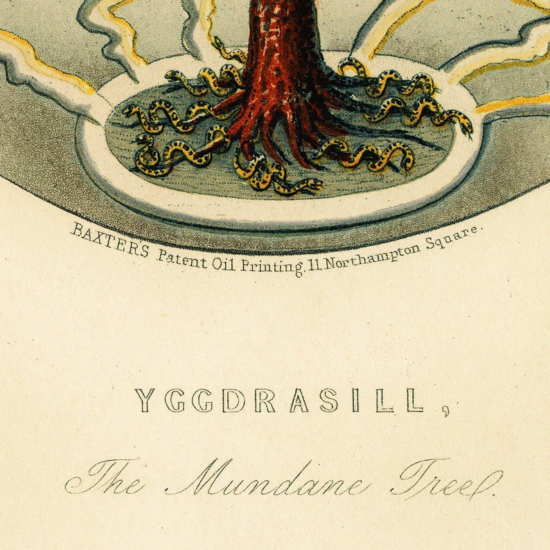 Yggdrasil, the Tree of Life| Vintage Illustration Print| Asgard Wall ...