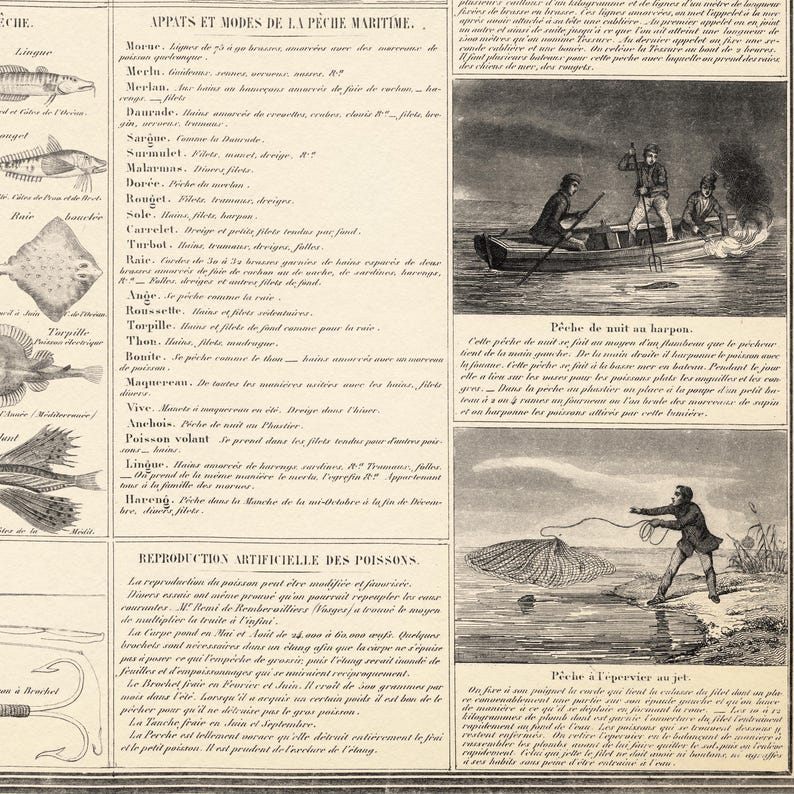 Vintage Fishing Chart Print: 1852 French Fisherman Techniques - Etsy