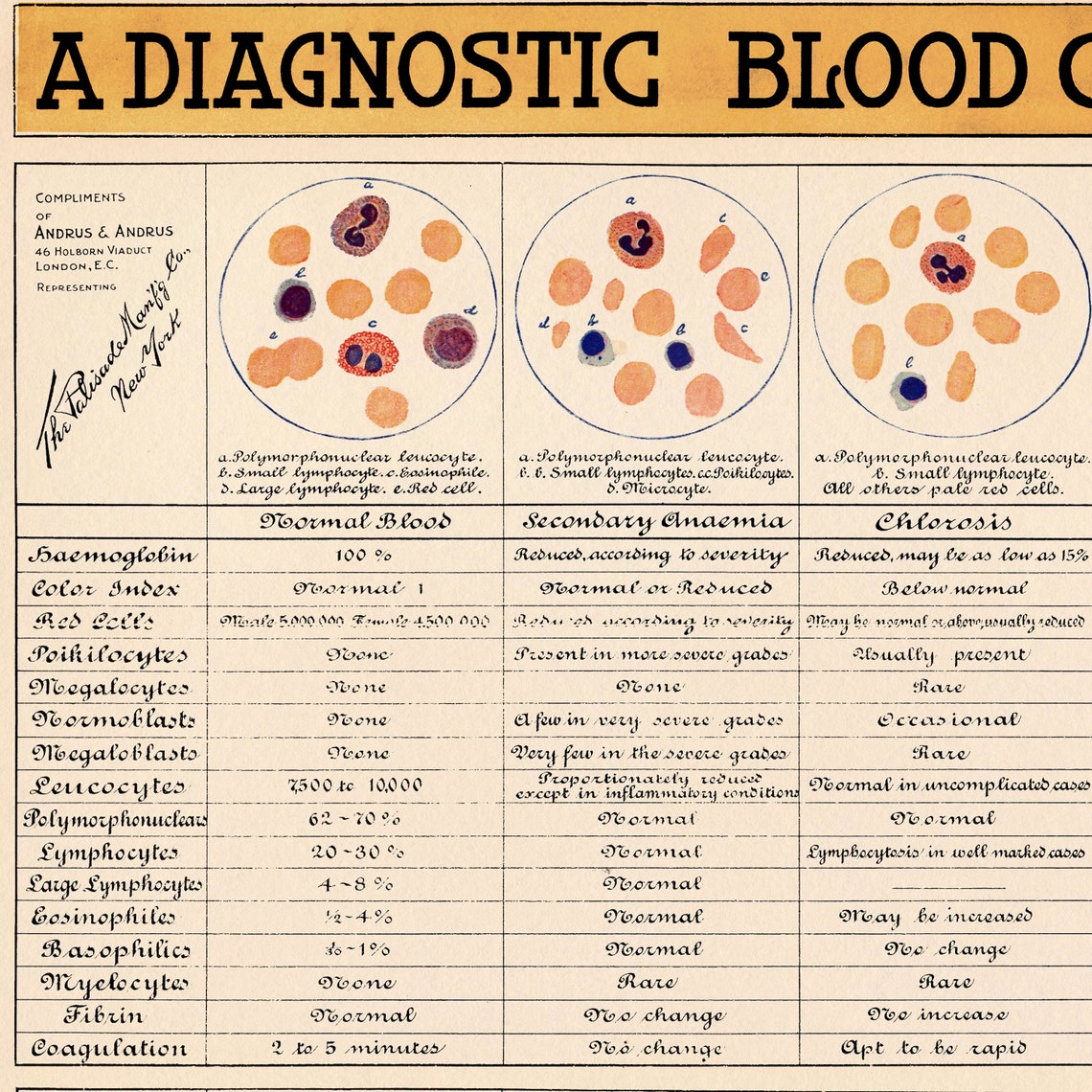 Vintage Diagnostic Blood Chart Doctor's Office Wall Art | Etsy