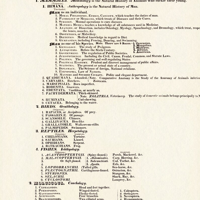 Diagram of Science Vintage Tall & Narrow Print Knowledge | Etsy