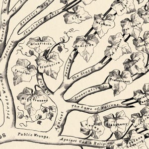 Law Tree Print: Vintage Attorney Office Art (1878) - Etsy