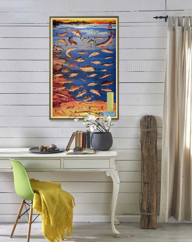 Great Lakes Fishes Vintage Poster – Native Species Wall Art - Etsy UK