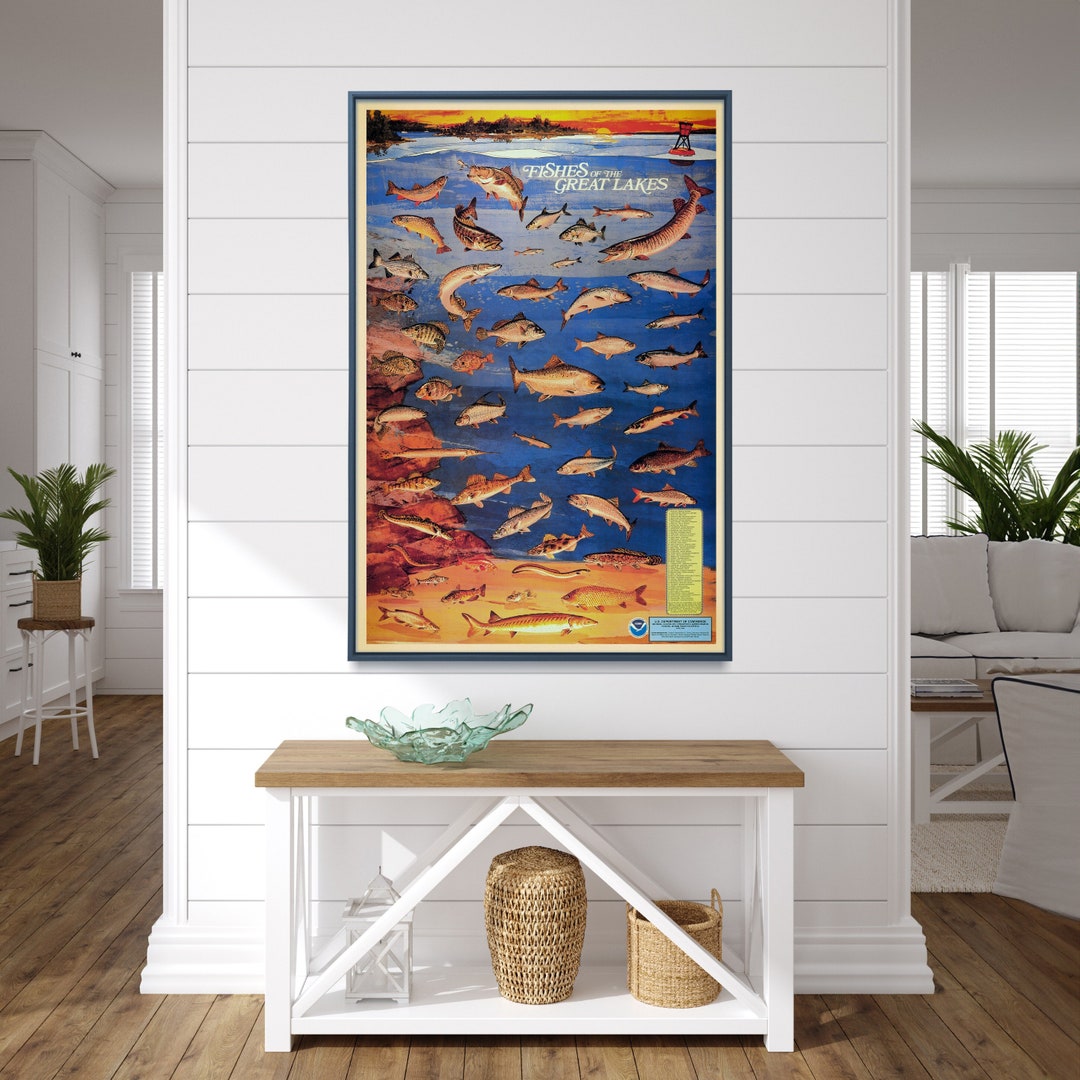 Great Lakes Fishes Vintage Poster – Native Species Wall Art - Etsy UK