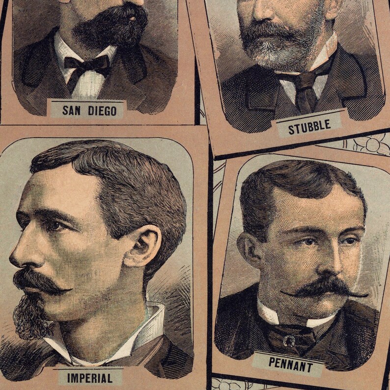 Beard Trimming Vintage Chart Print Beard Styles Poster - Etsy