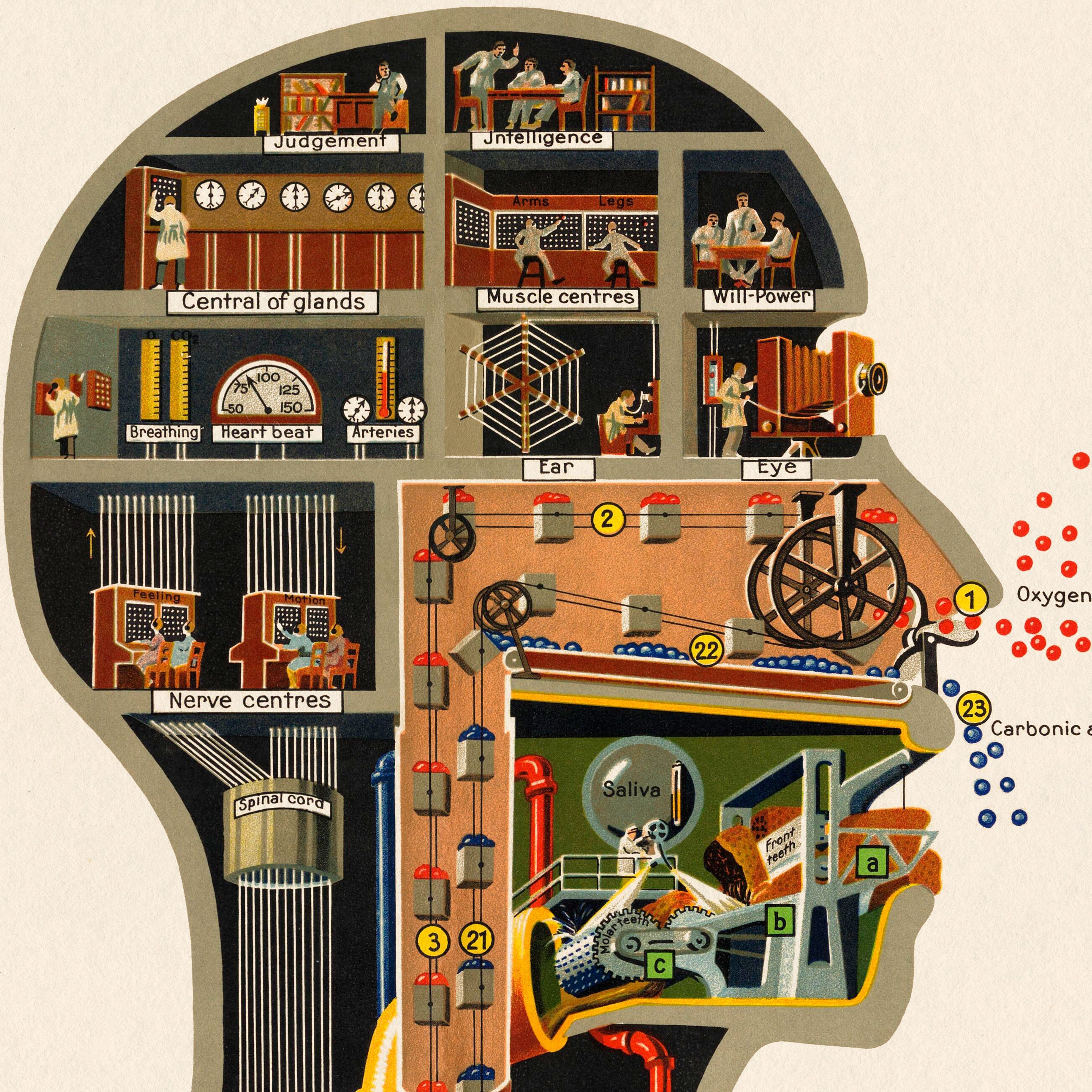 Human Body Vintage Industrial Poster Human Factory Print Mid - Etsy