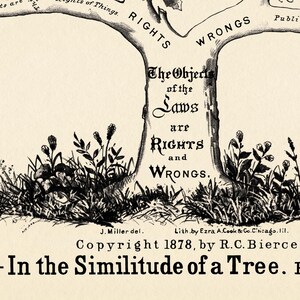 Law Tree Print: Vintage Attorney Office Art (1878) - Etsy
