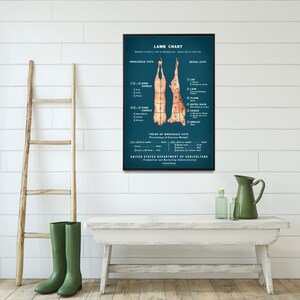 Lamb Cuts Chart - Vintage Diagram Print, Kitchen Poster, Meat Shop Wall ...