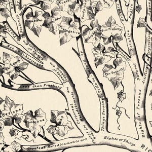 Law Tree Print: Vintage Attorney Office Art (1878) - Etsy