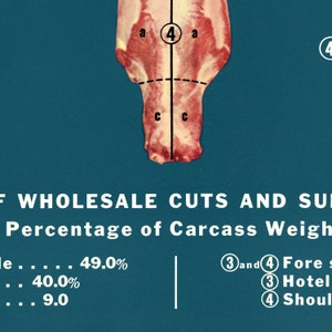 Veal Cuts Chart - Vintage Diagram Print, Kitchen Poster, Meat Shop Wall ...