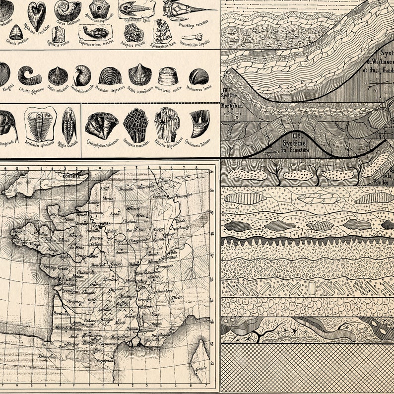 Geological Vintage Chart Print, Geology & Fossils Timeline Poster ...