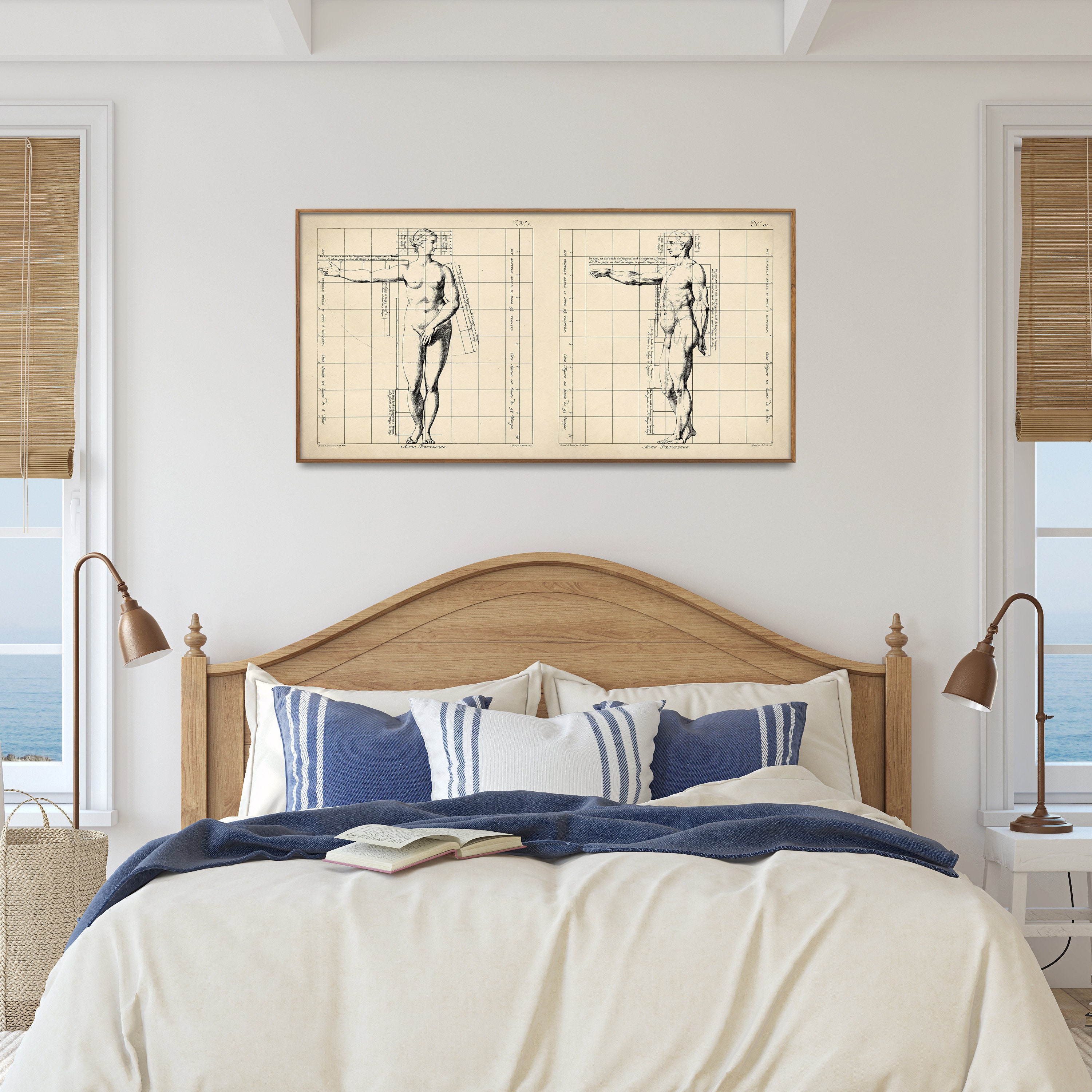 Proportions Study of the Human Body Vintage Illustration - Etsy