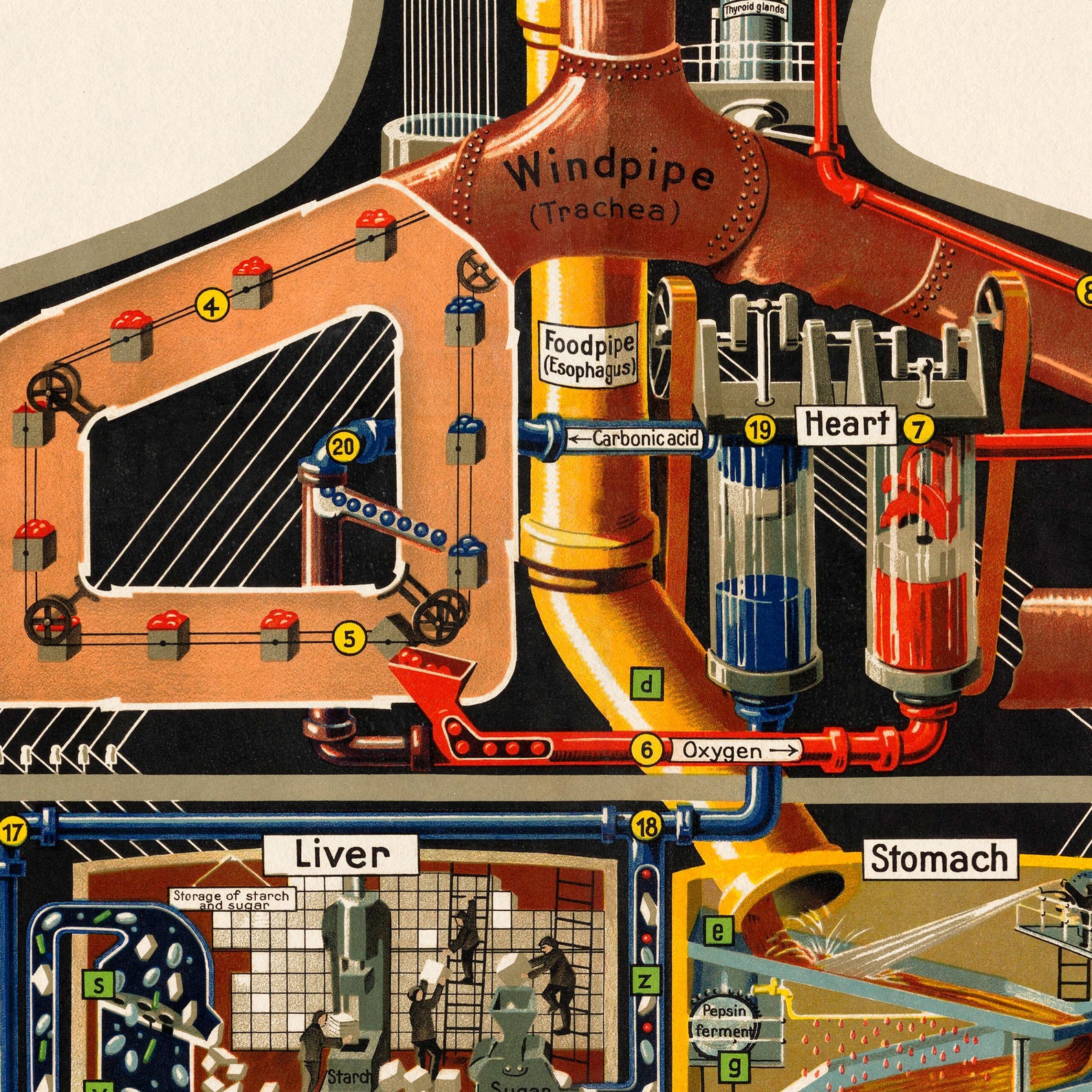 Human Body Vintage Industrial Poster Human Factory Print Mid - Etsy