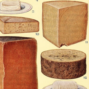 Cheese Poster, Cheese Wall Art, Vintage Cheese Print, Dining ...