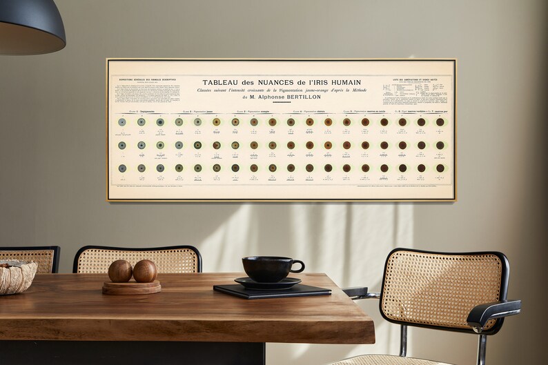 Eye Colour Vintage Chart Print Vision & Optometry Poster - Etsy
