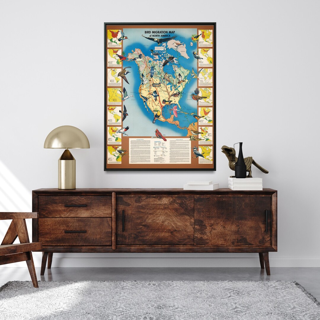 Birds of North America: Migration - Vintage Map Print, Wall Art Home ...