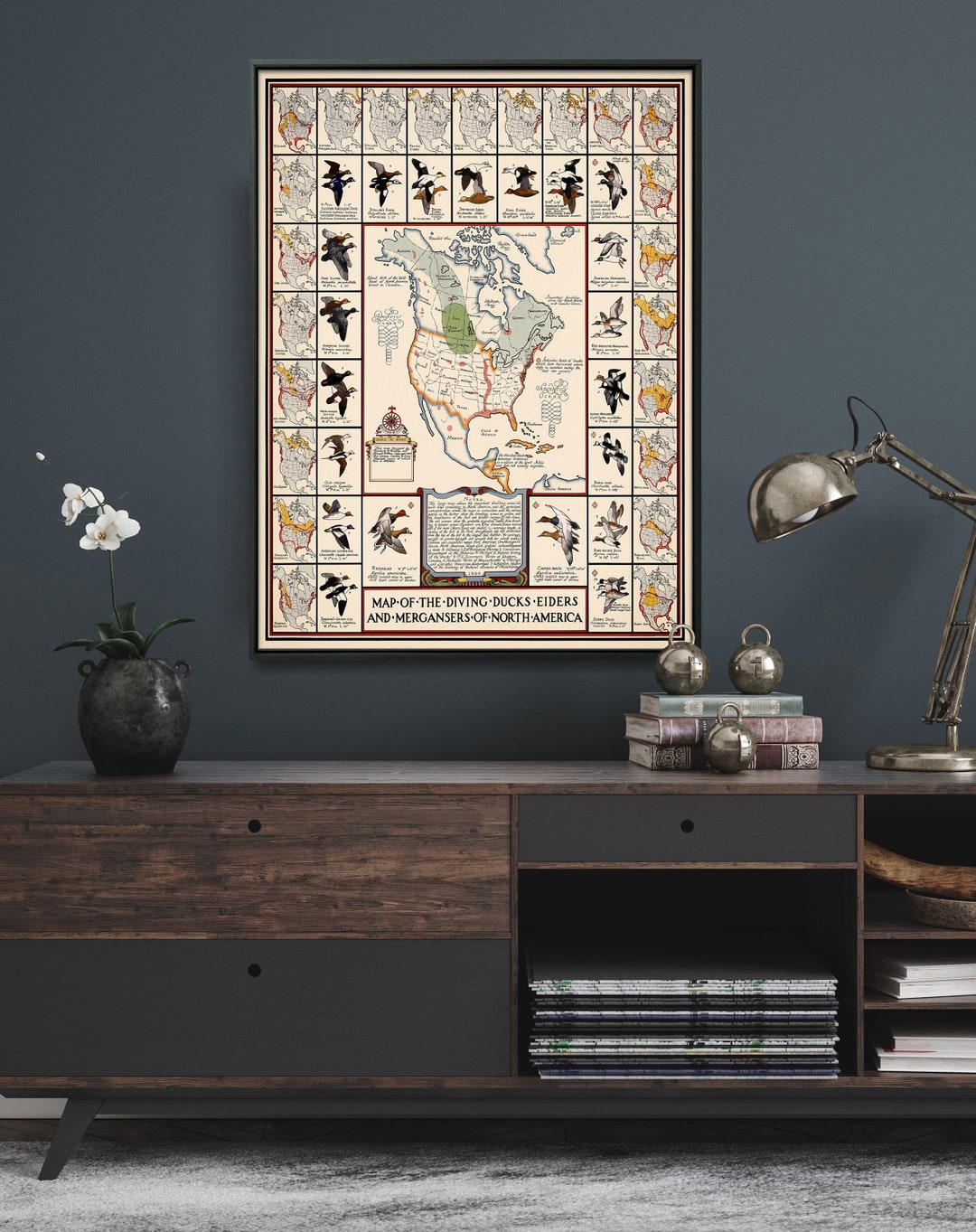 North America Diving Ducks, Eiders & Mergansers Vintage Map Print ...