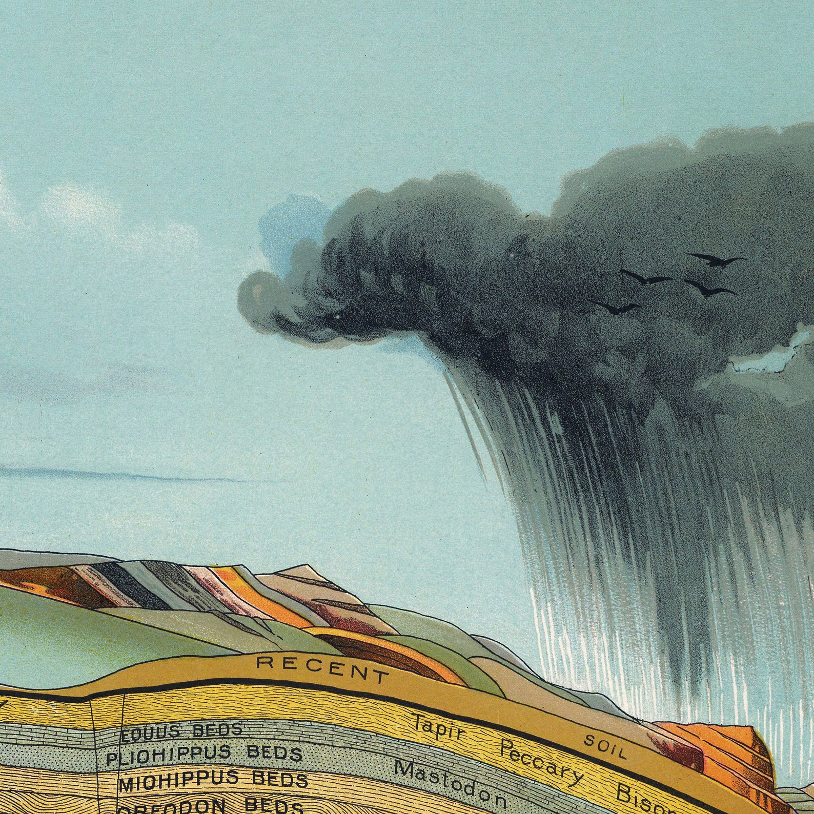 Geology Chart Geological Cross Section Poster Geological Art - Etsy Canada