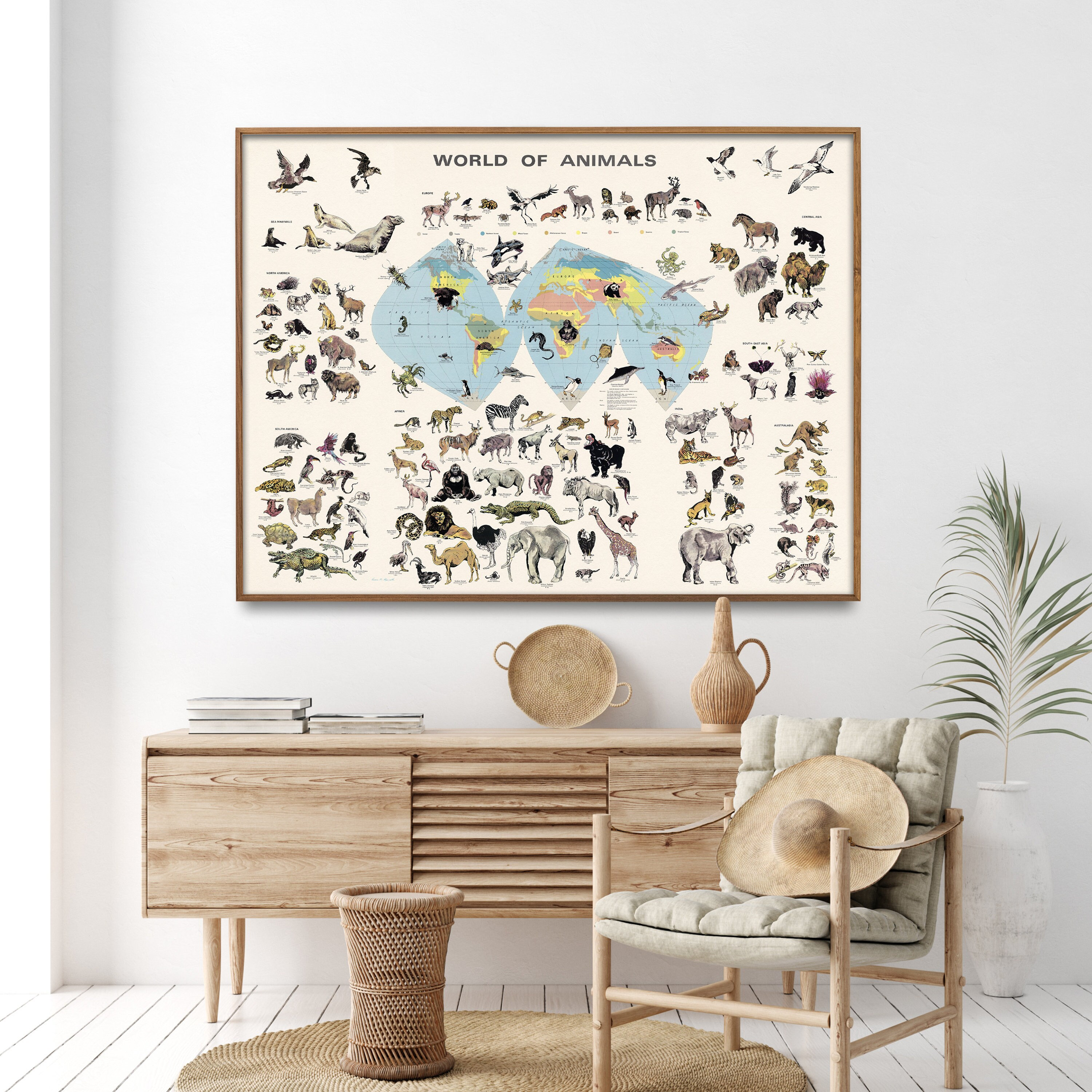 Largest Animals In The World Chart
