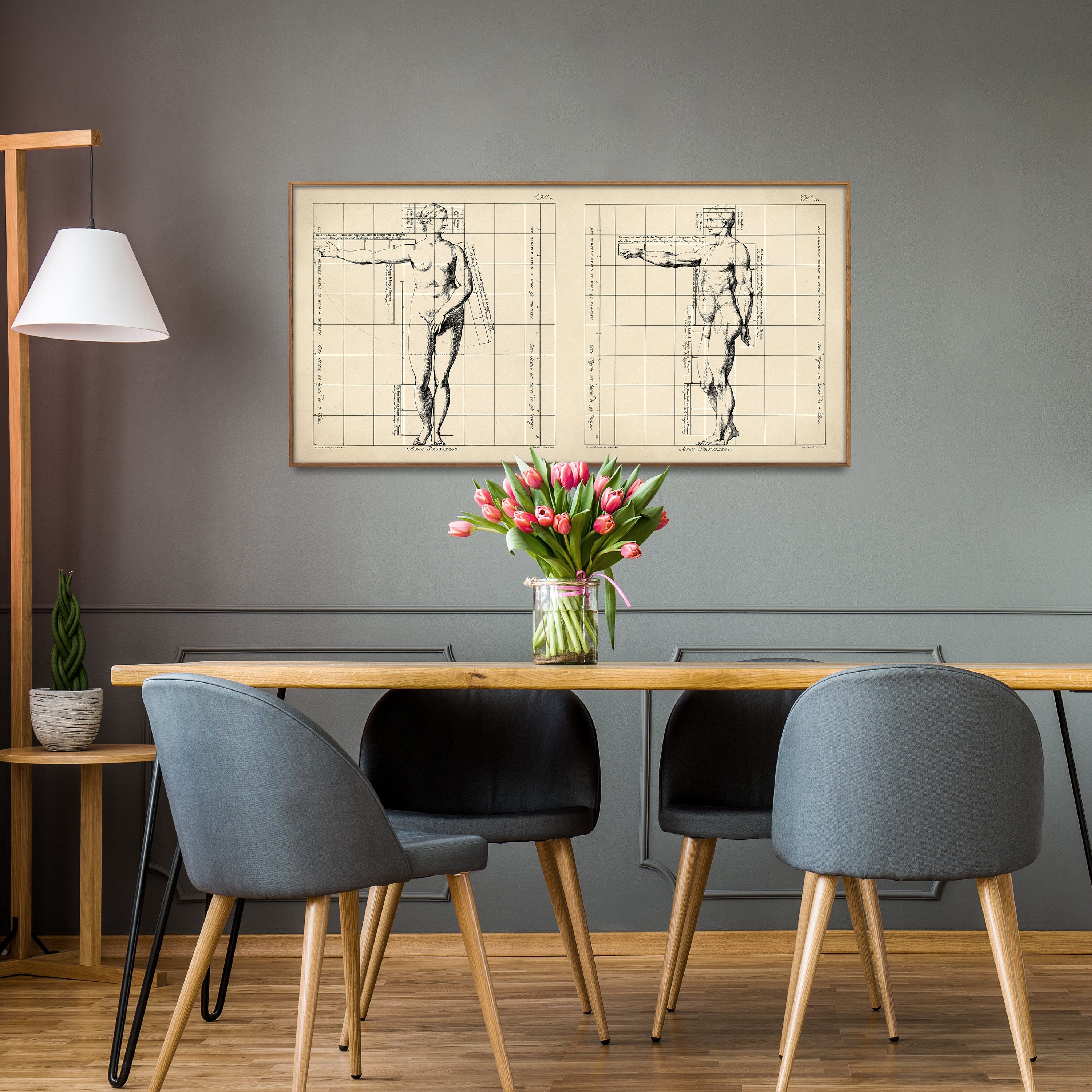 Proportions Study of the Human Body Vintage Illustration - Etsy