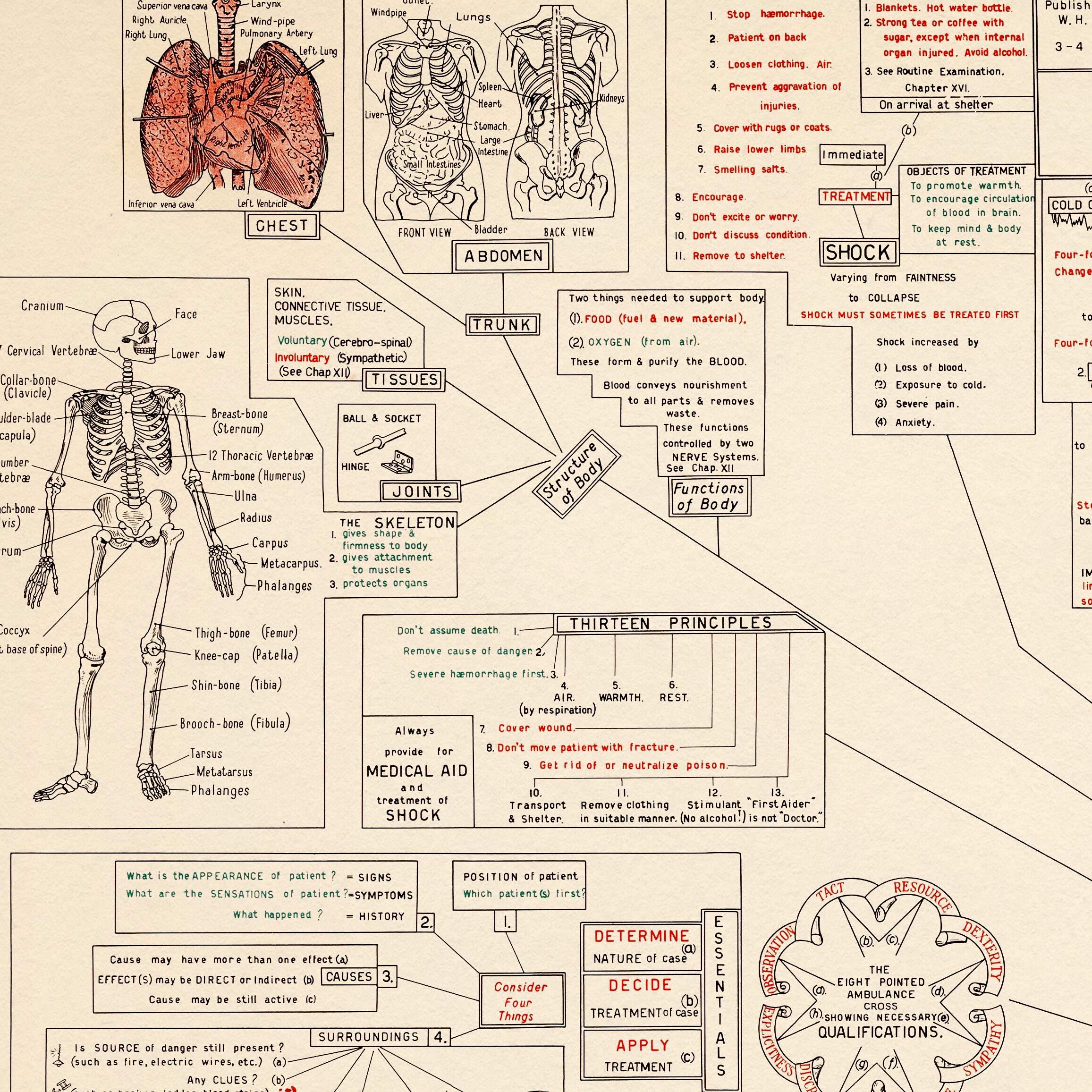 Vintage First Aid Memory Chart Doctor's Office Wall Art | Etsy