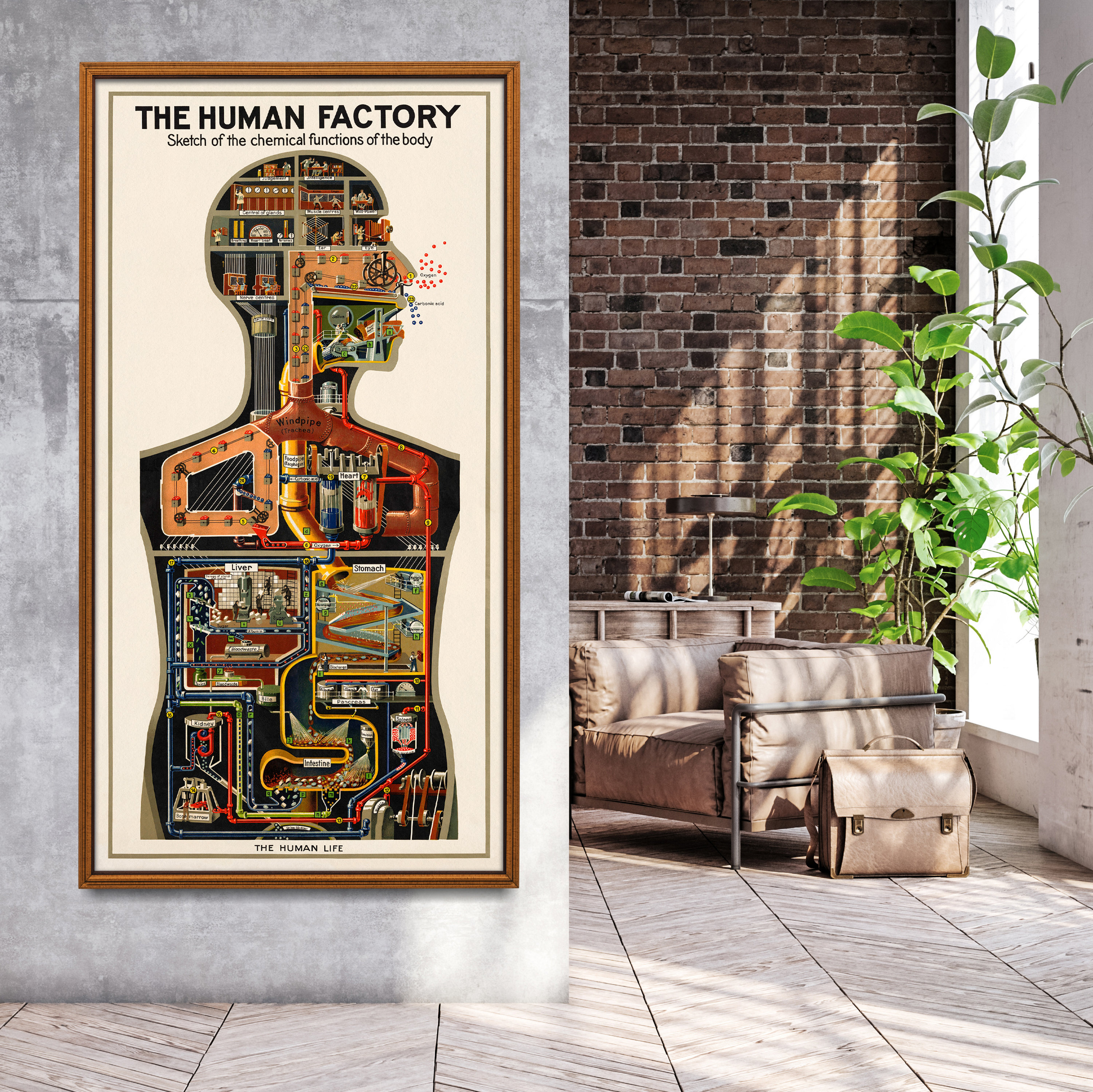 Human Body Vintage Industrial Poster Human Factory Print Mid - Etsy