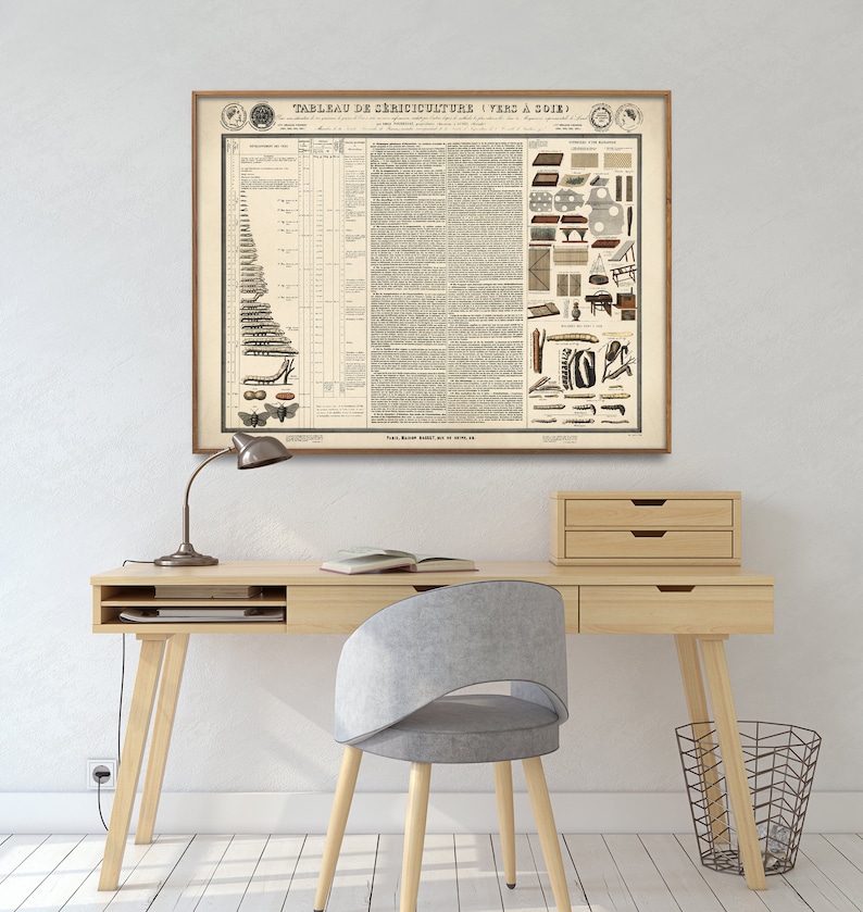 Silkworms Cultivation Vintage Chart Print Sericulture Poster - Etsy