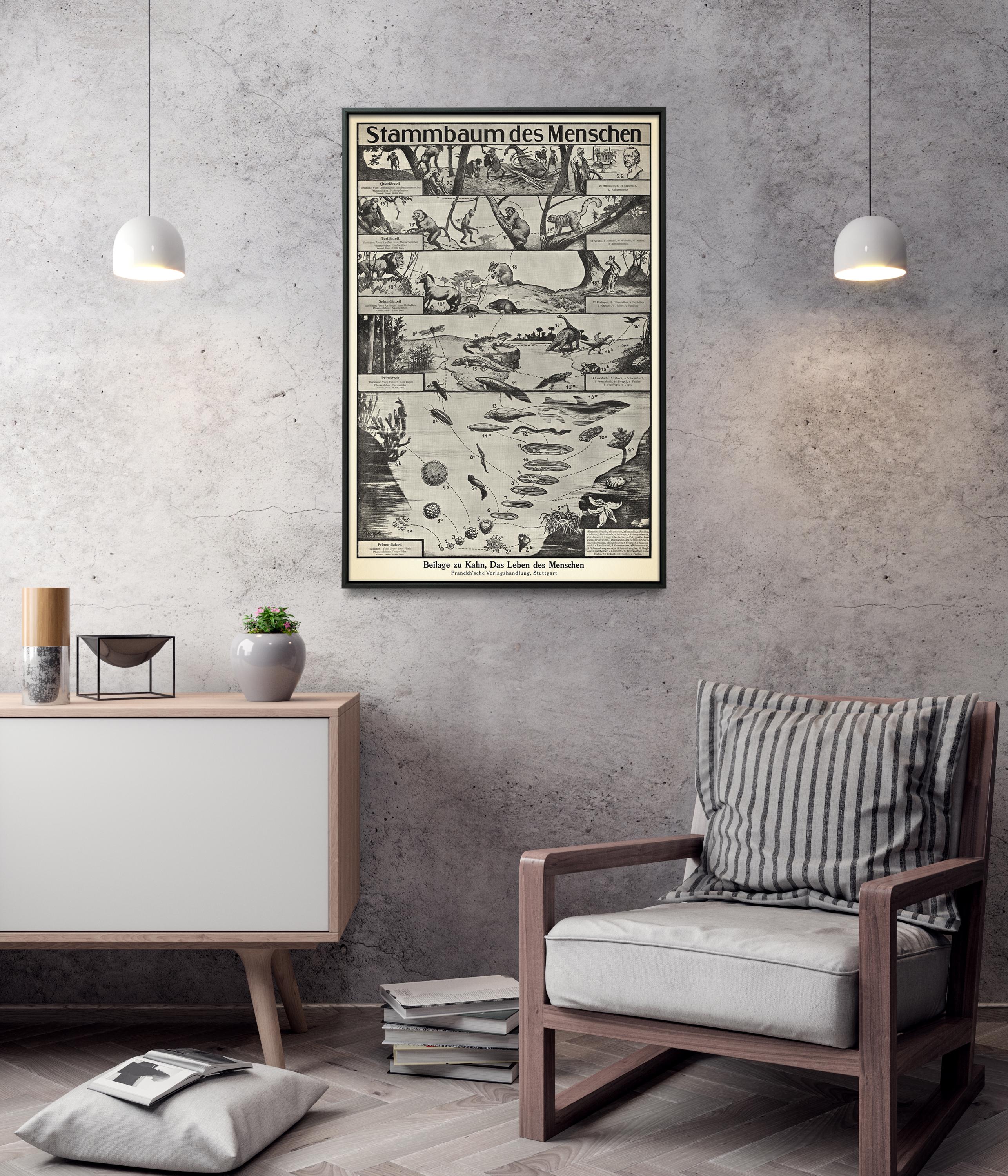 Mankind Evolution: Human Family Tree - Vintage Chart Print, Science ...