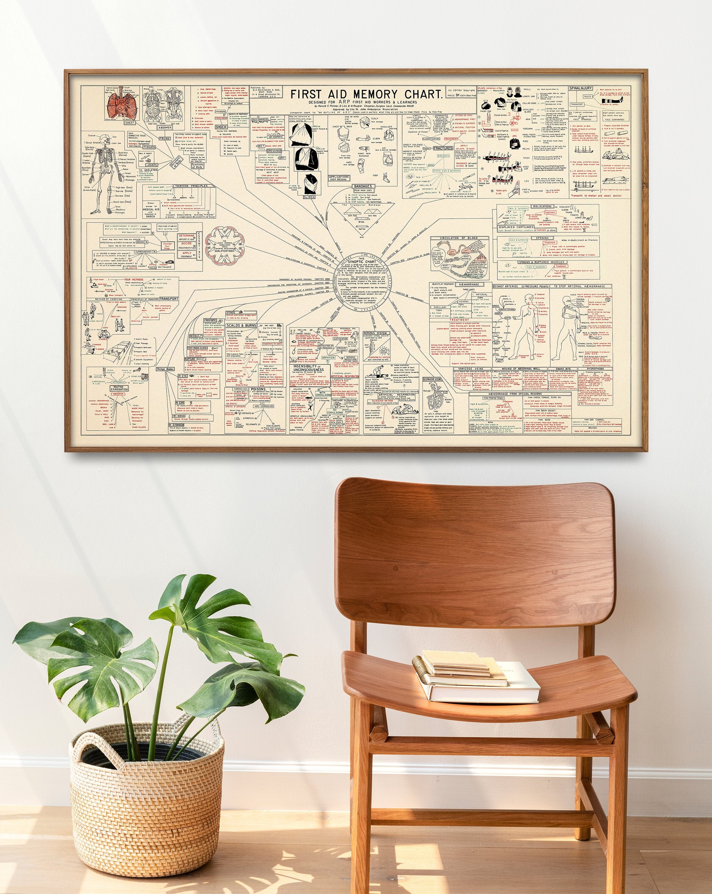 Vintage First Aid Memory Chart Doctor's Office Wall Art - Etsy Australia