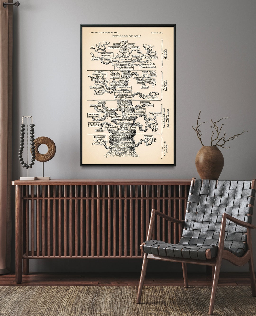 Evolution of Man Vintage Tree Chart Print, Pedigree of Man Poster ...