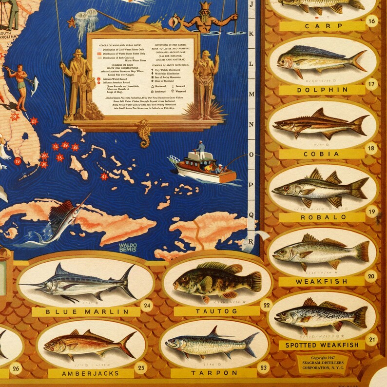 Fish Map of the United States Fishing Gifts for Men Vintage - Etsy