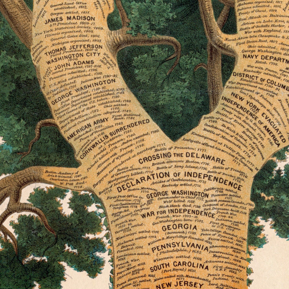 Tree of American History US History Timeline History - Etsy