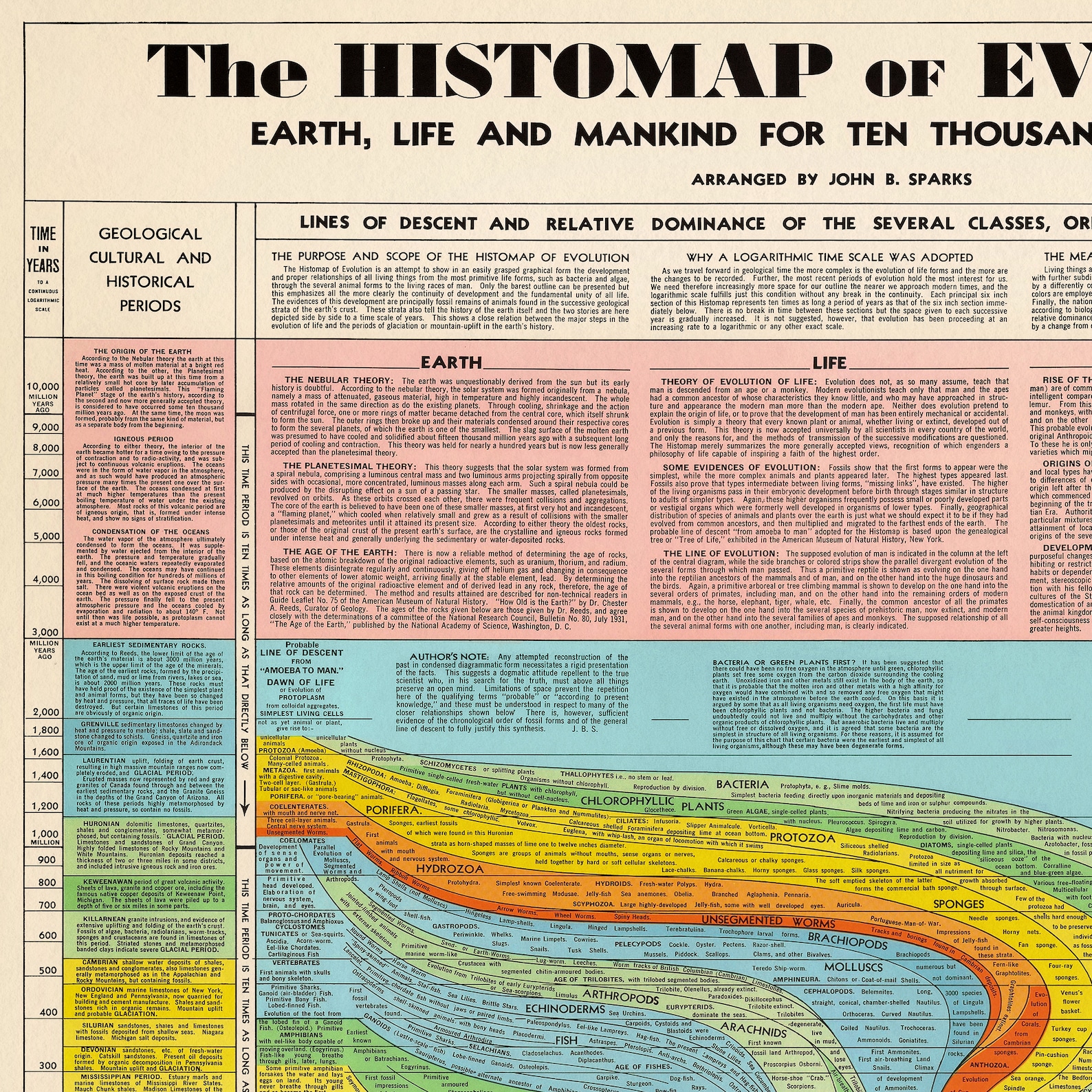 Histomap of Evolution Vintage Chart Print Tall & Narrow Timeline Poster ...