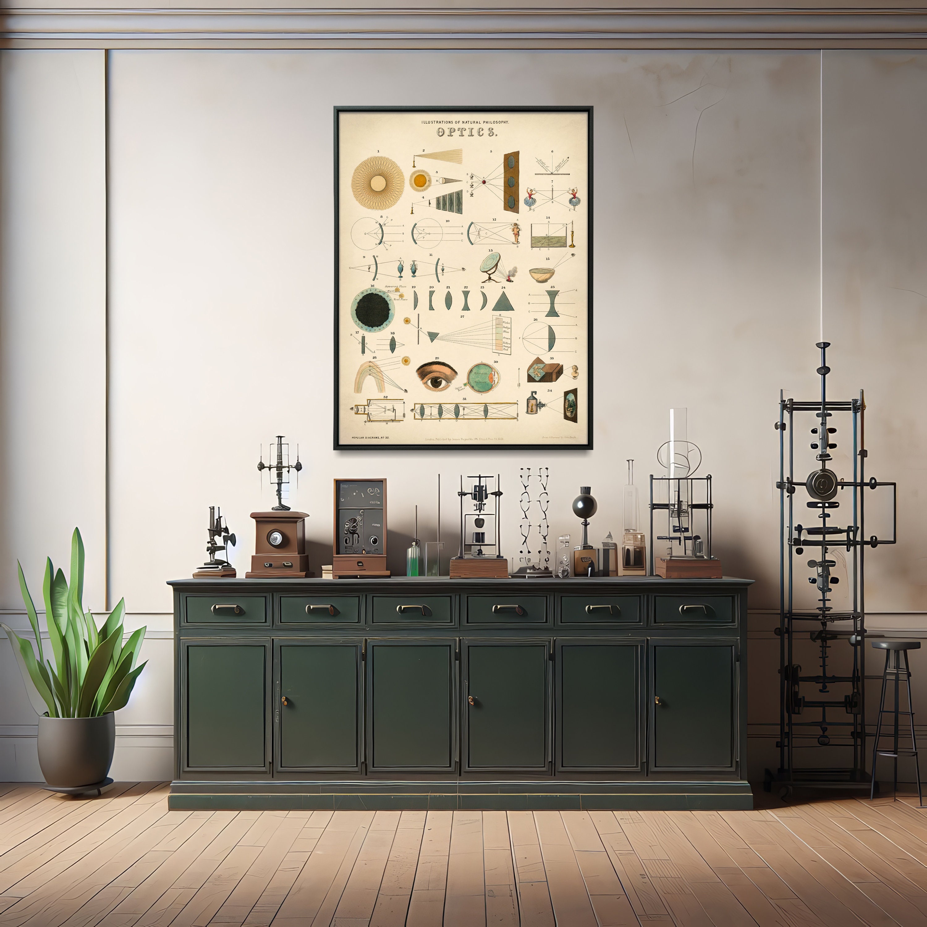 Vintage Science Poster, Optics Wall Art, Scientific Illustration Print ...
