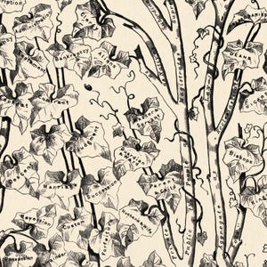 Law Tree Print: Vintage Attorney Office Art (1878) - Etsy