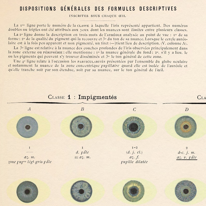Eye Colour Vintage Chart Print Vision & Optometry Poster - Etsy