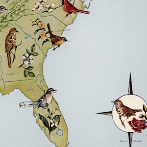 State Birds & Flowers - Vintage United States Map Print, Wall Art Home ...